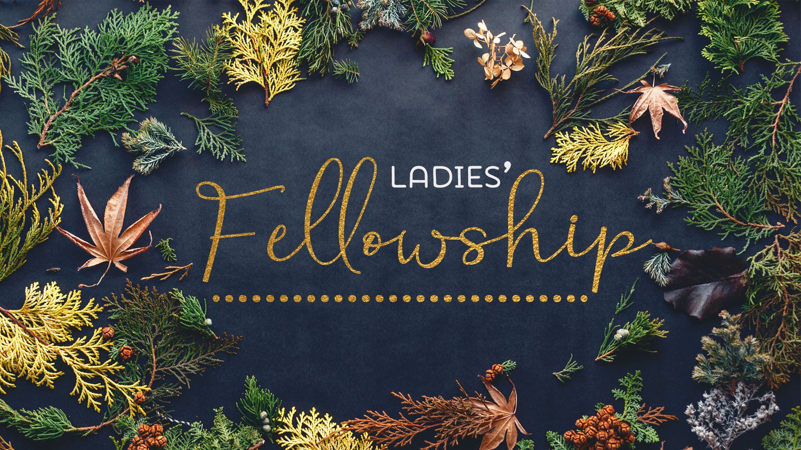Ladies Fellowship – timberridgechristianchurch.com